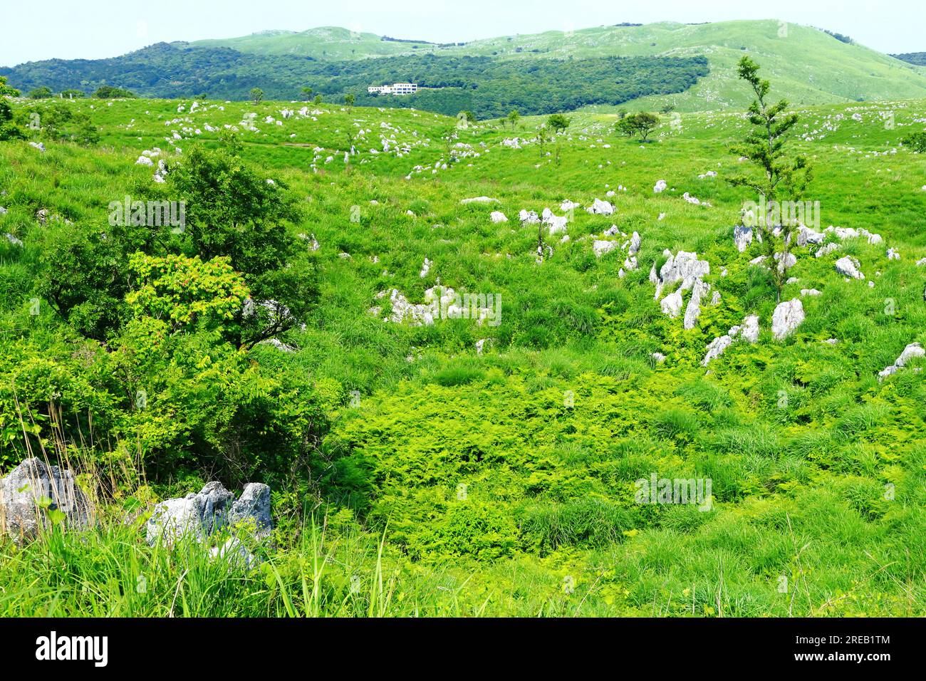Doline in Akiyoshidai Stock Photo - Alamy
