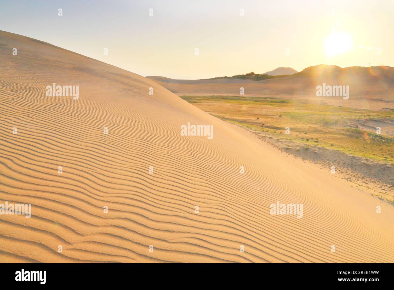 Early morning sun and Tottori Sand Dunes Stock Photo - Alamy