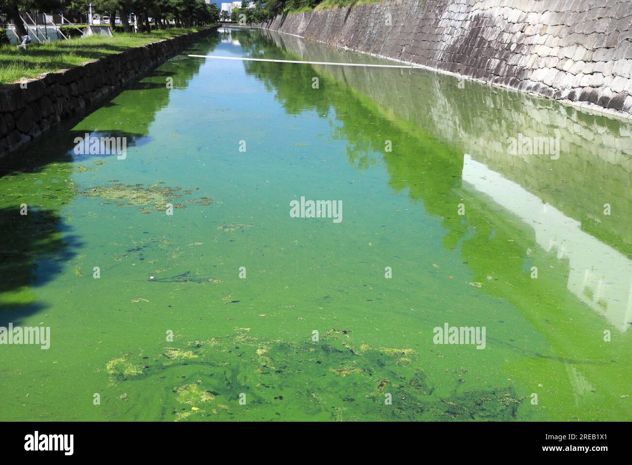 Edo castle outer moat hi-res stock photography and images - Alamy