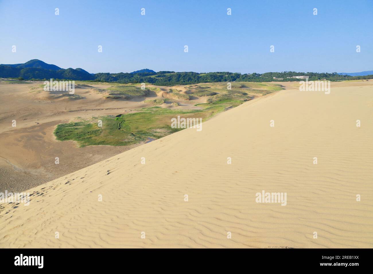 Tottori Sand Dunes Stock Photo - Alamy