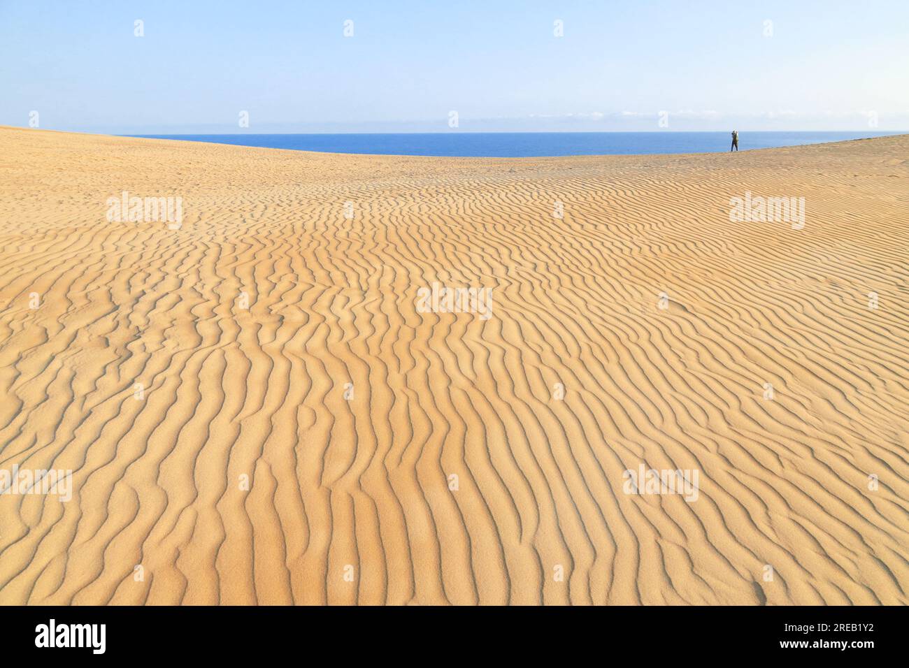 Tottori Sand Dunes Stock Photo - Alamy