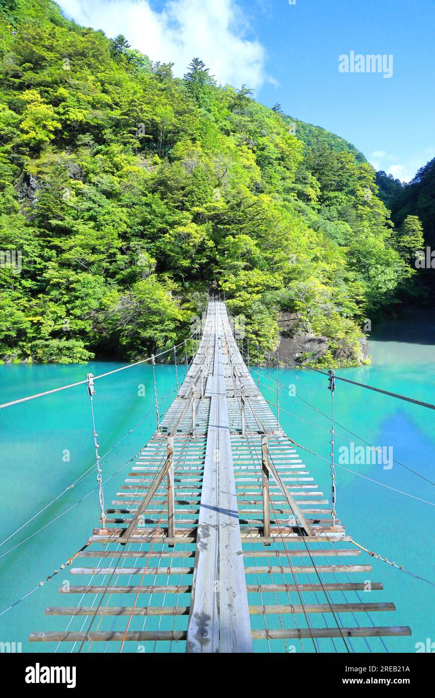 Dream Suspension Bridge in Sunmatakyo Stock Photo - Alamy
