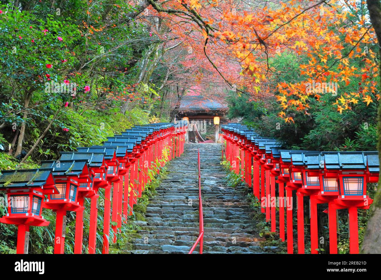 Kibune Shrine in autumn leaves Stock Photo - Alamy