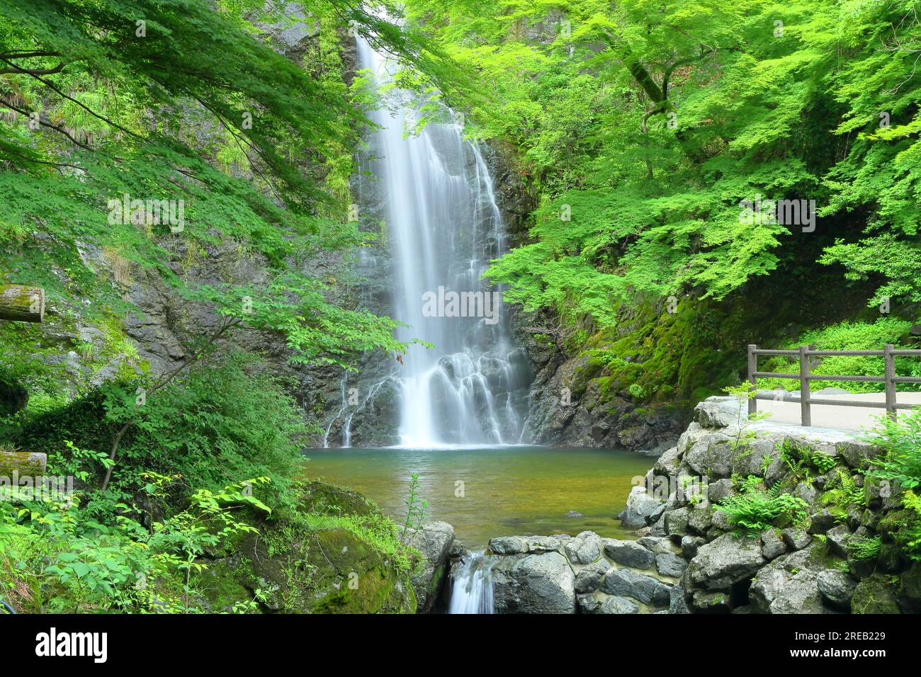 Minoh Falls in early summer Stock Photo - Alamy