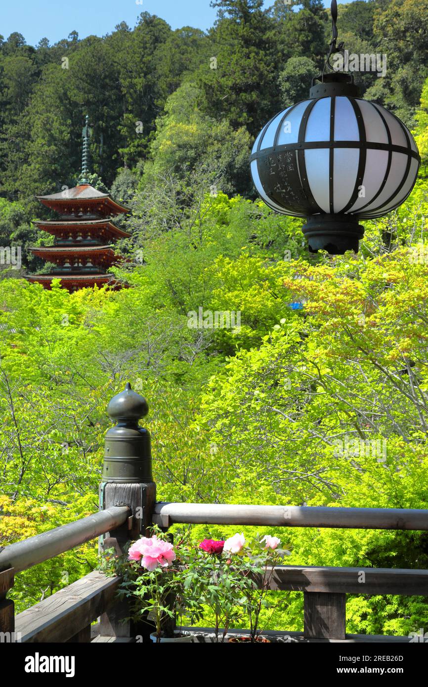 Hase Temple in spring Stock Photo - Alamy