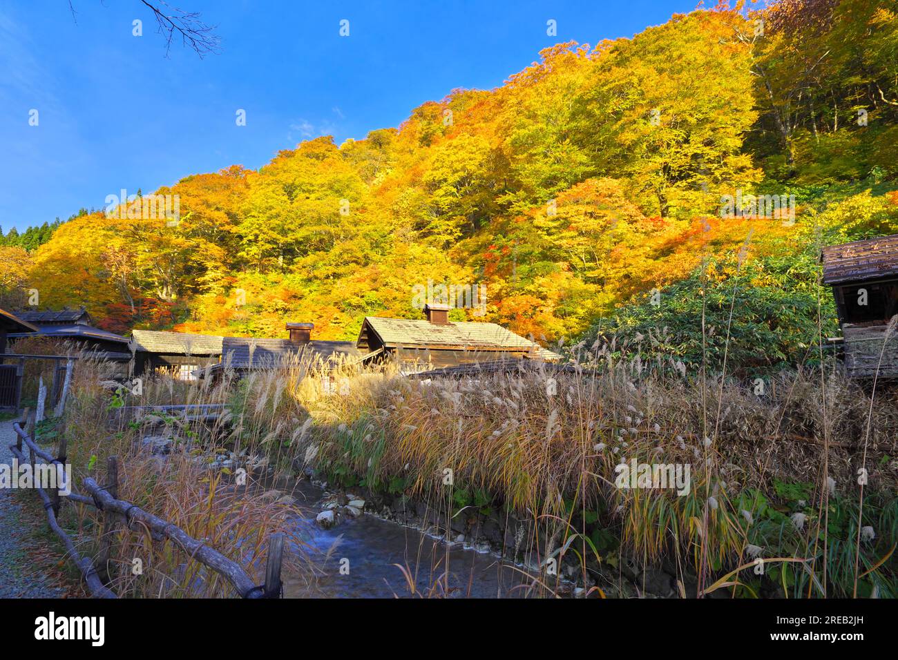 Tsurunoyu hot springs hi-res stock photography and images - Alamy