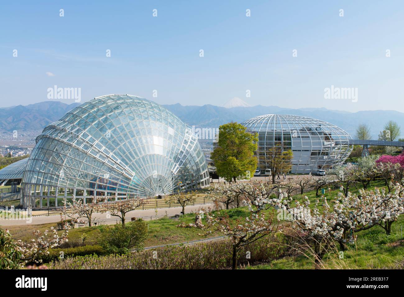 Fuefukigawa Fruit Park Stock Photo - Alamy