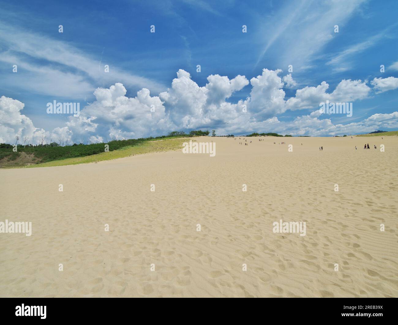 Tottori Sand Dunes Stock Photo - Alamy
