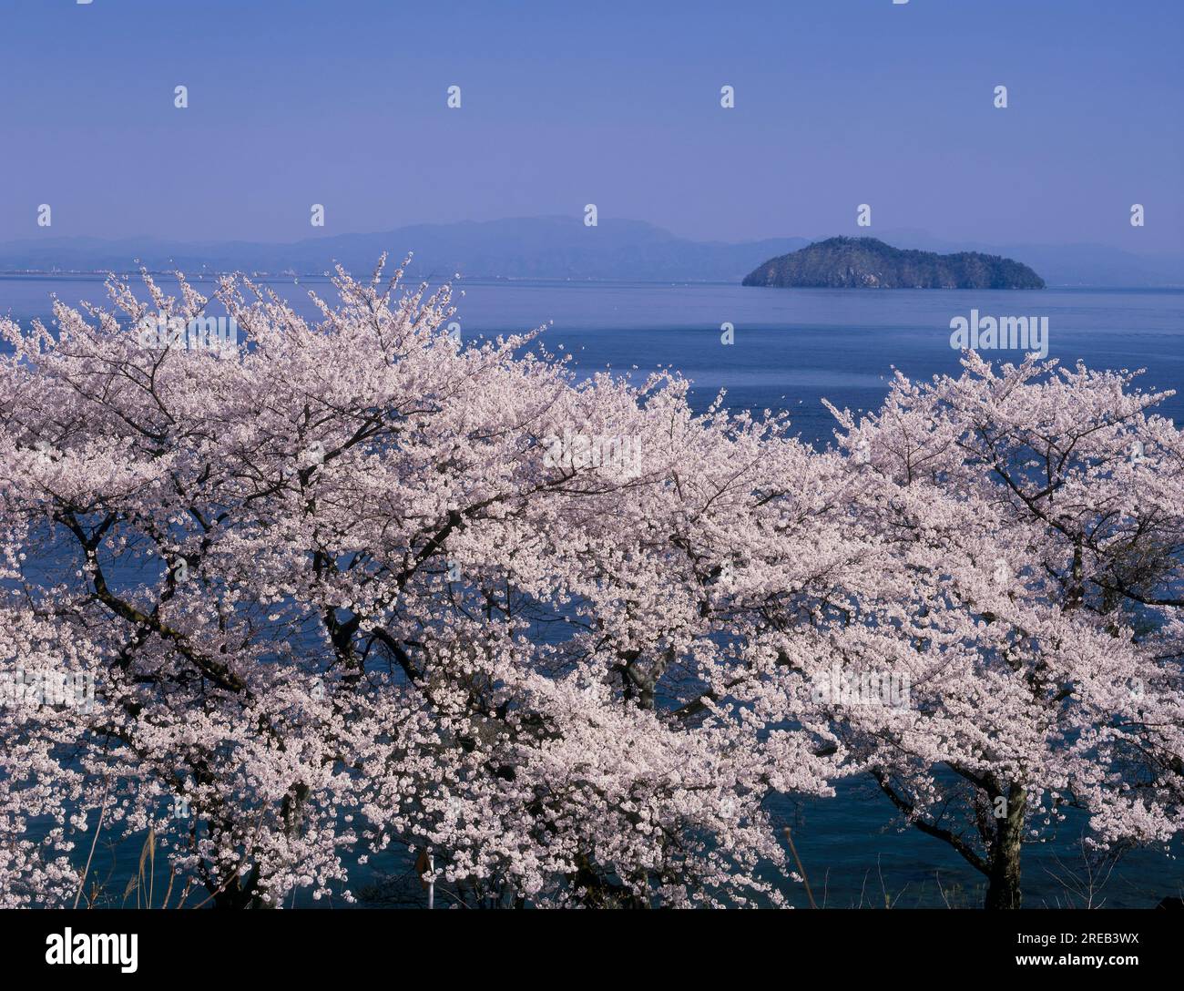 Kaizu hi-res stock photography and images - Alamy