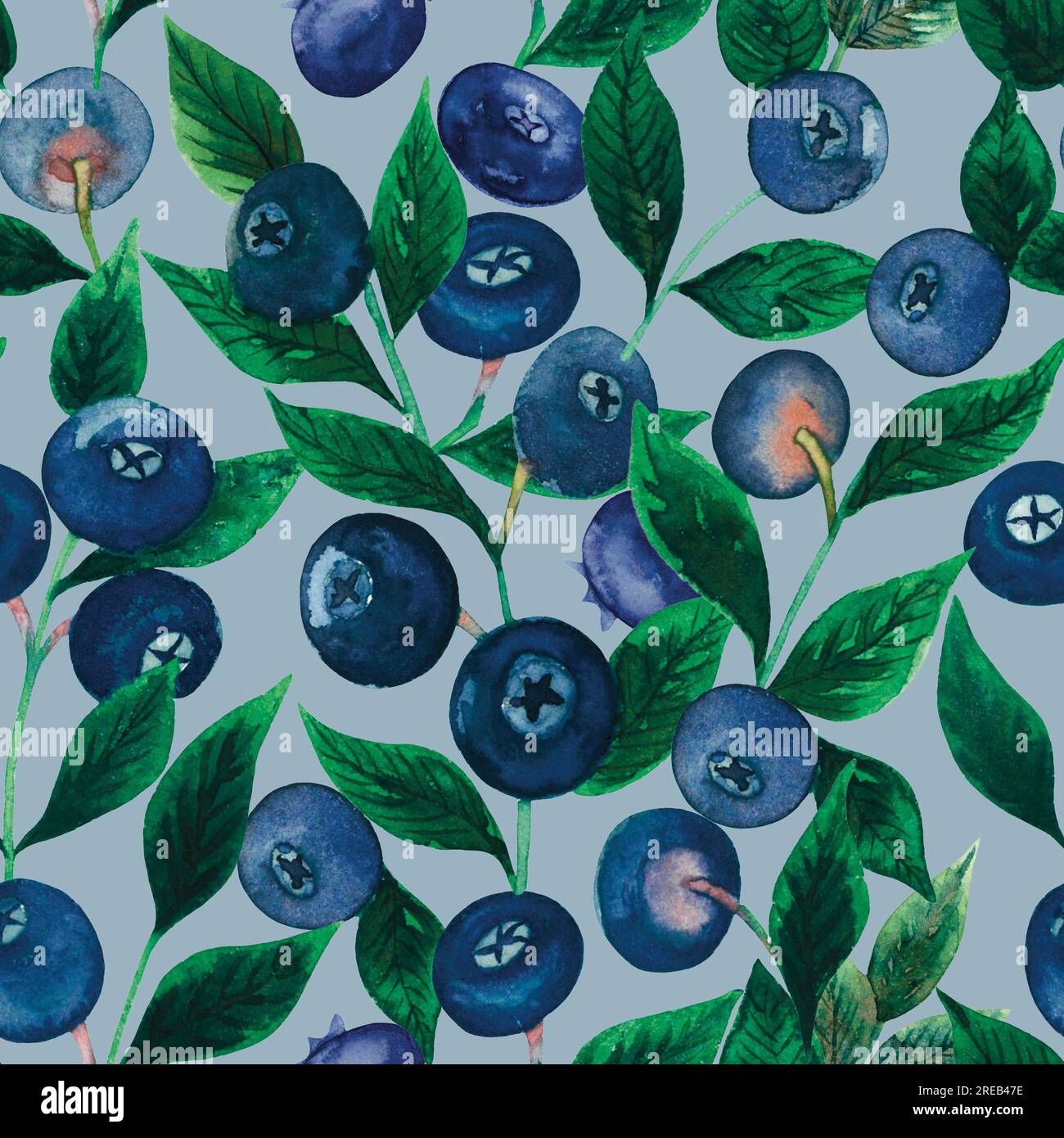 Seamless watercolour blueberry pattern with berries, leaves hand drawn ...