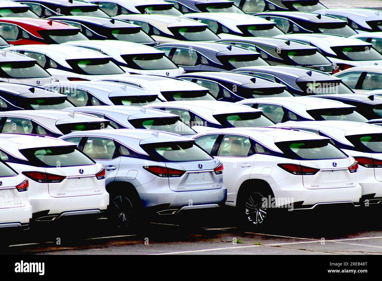 A cropped section showing the massed ranks of hundreds of Lexus and ...
