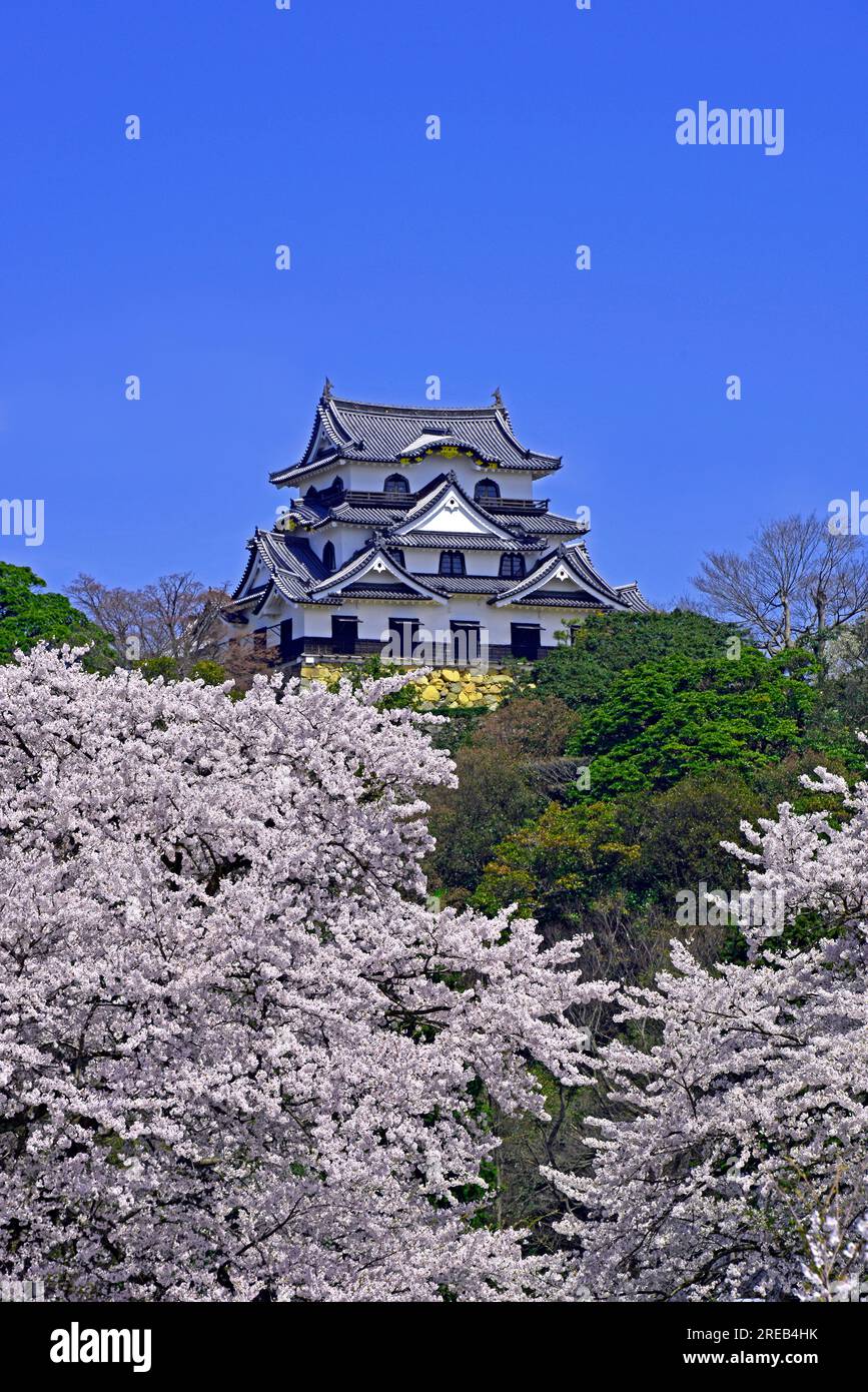 Historic hikone hi-res stock photography and images - Alamy