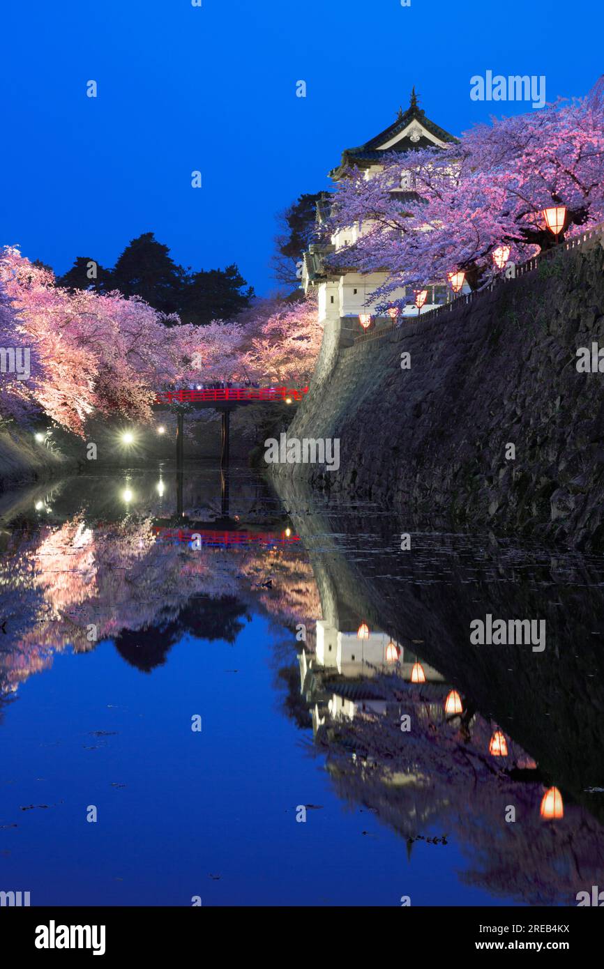 Best flower view hi-res stock photography and images - Alamy
