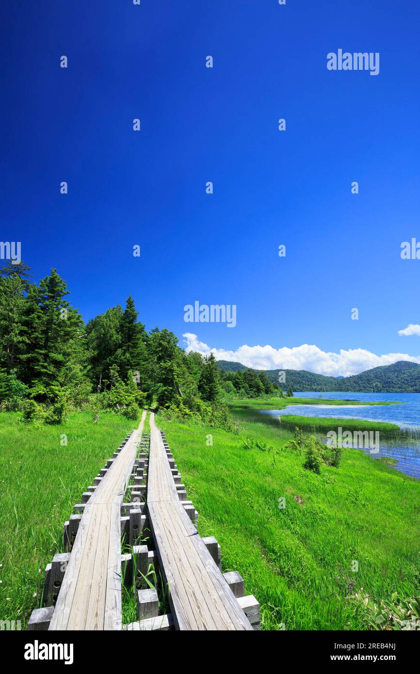 Ozenuma hi-res stock photography and images - Alamy