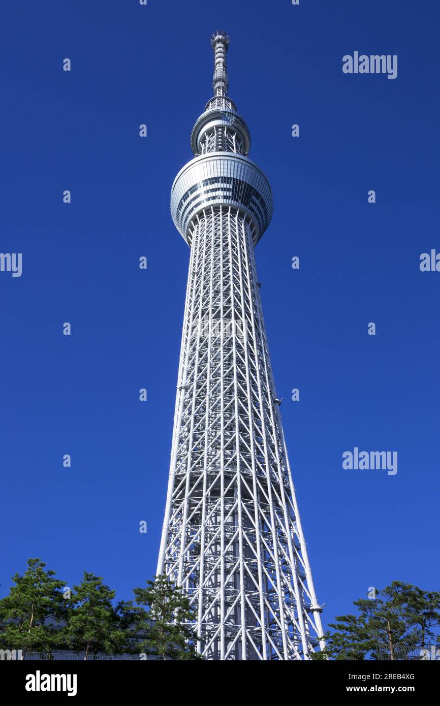 Japan kanto skytree hi-res stock photography and images - Alamy