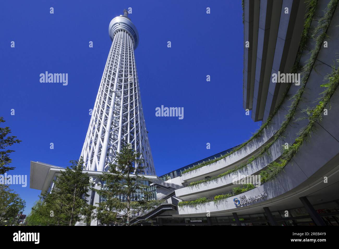 Tokyo Sky Tree Stock Photo - Alamy