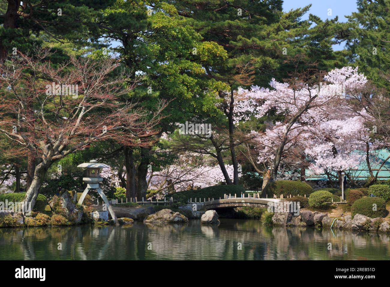 Kenrokuen trees hi-res stock photography and images - Alamy