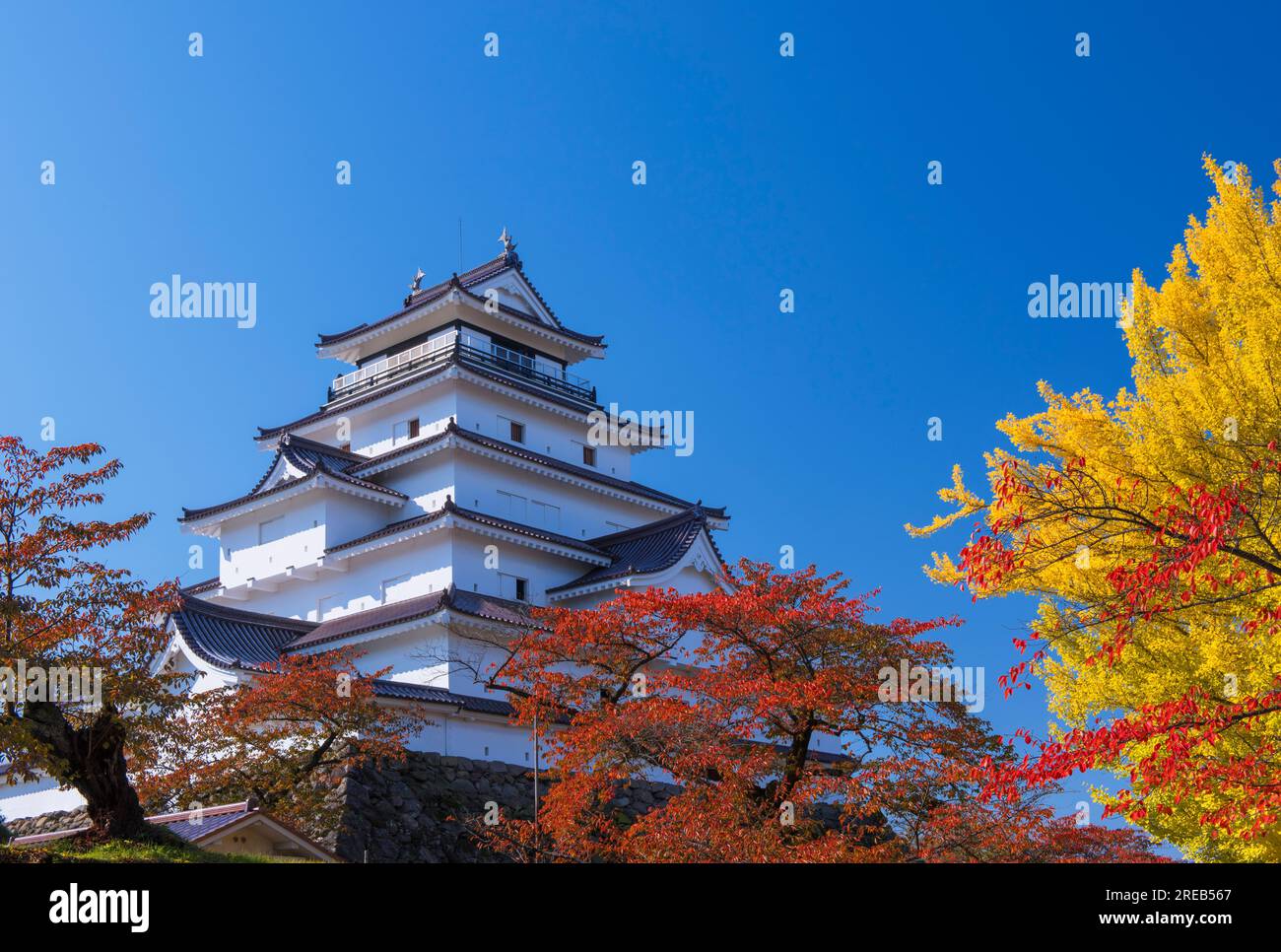 Ginkgo castle hi-res stock photography and images - Alamy