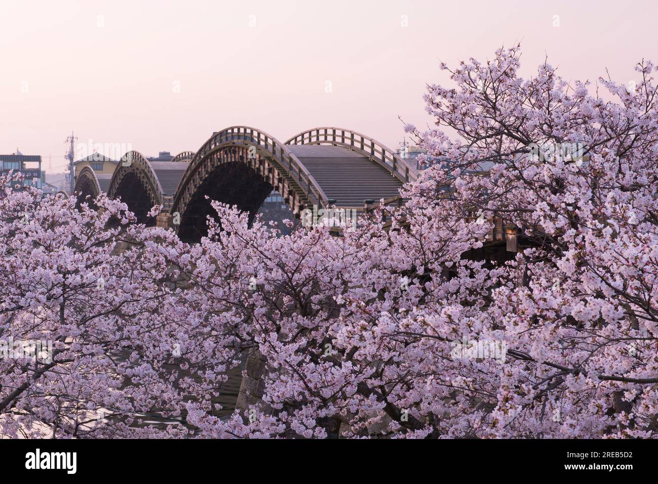 Japan sakura 100 best attractions hi-res stock photography and images ...