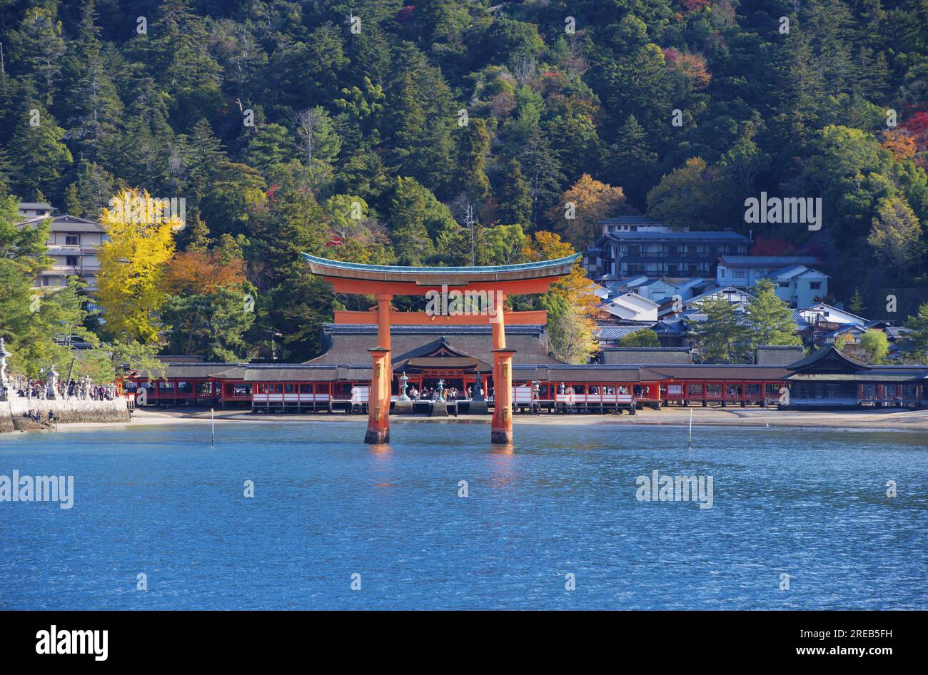 Important cultural properties of shinto shrine hi-res stock photography ...
