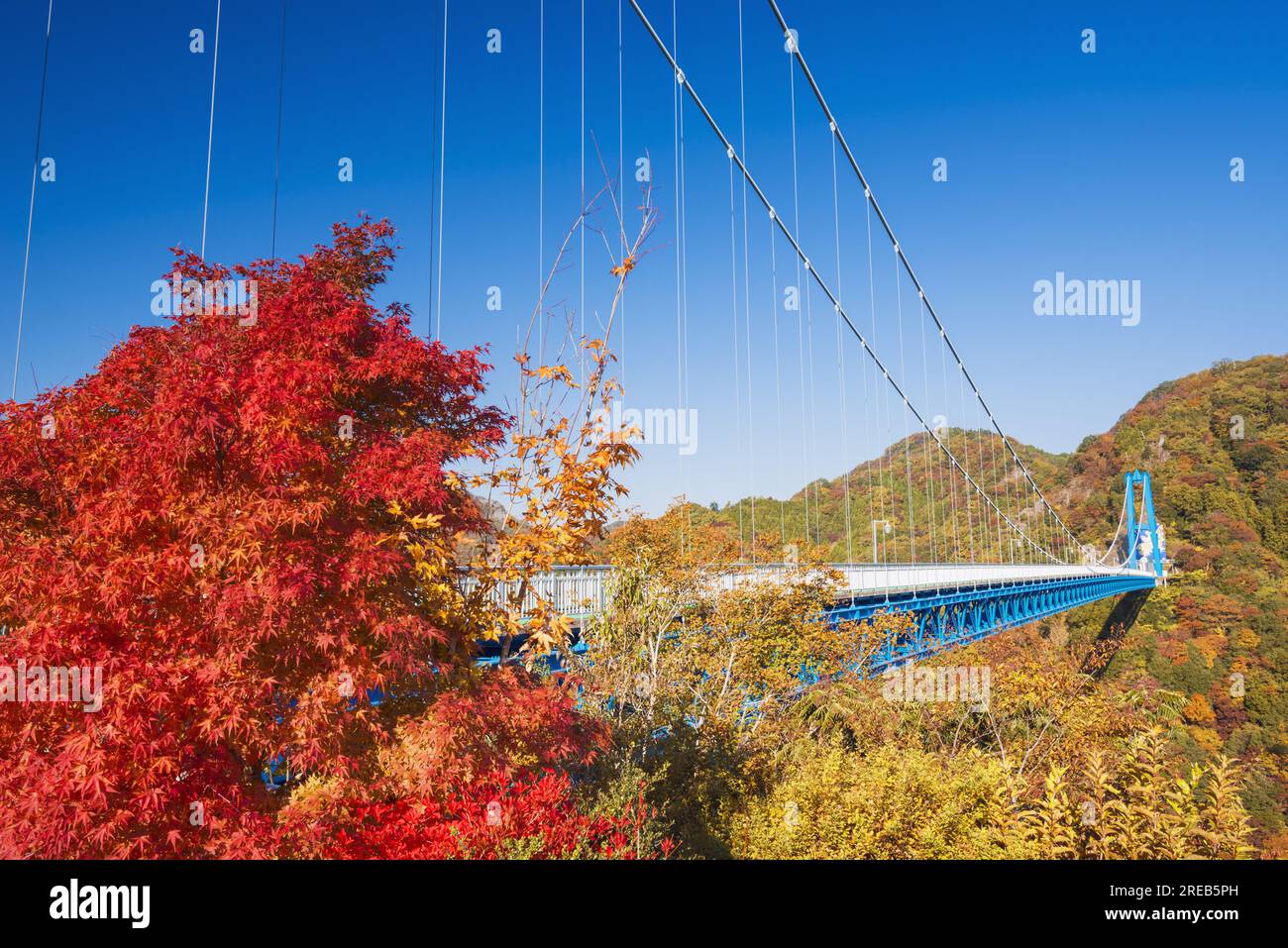 Ryujinkyo hi-res stock photography and images - Alamy