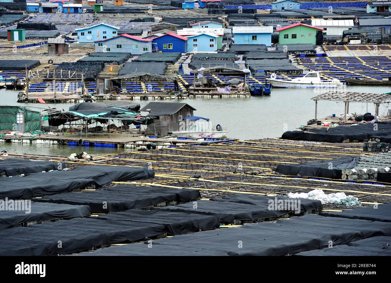 **CHINESE MAINLAND, HONG KONG, MACAU AND TAIWAN OUT** Fishing vessels ...