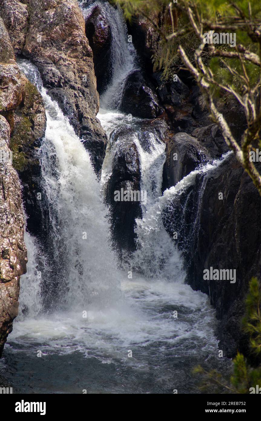 Little Millstream Falls, Ravenshoe, Australia Stock Photo - Alamy