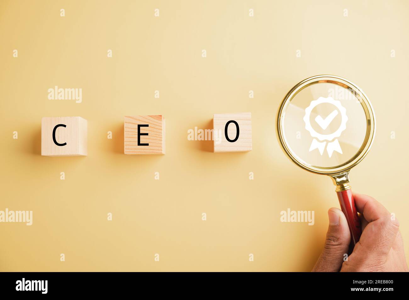 Human resources officer uses magnifying glass to find leader and CEO ...