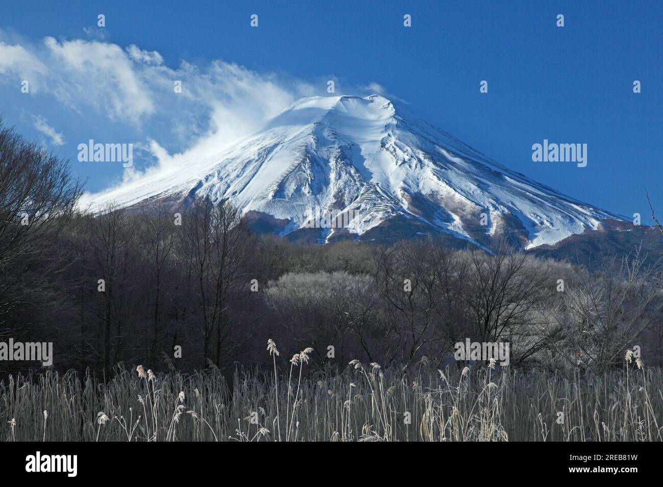 Volcano environment hi-res stock photography and images - Alamy