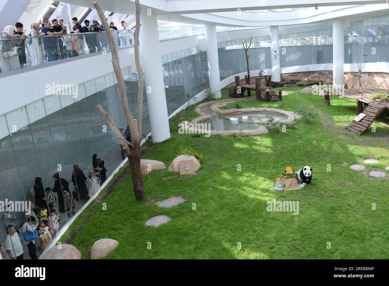 Doha, Qatar. 26th July, 2023. People visit giant panda Si Hai at Qatar ...