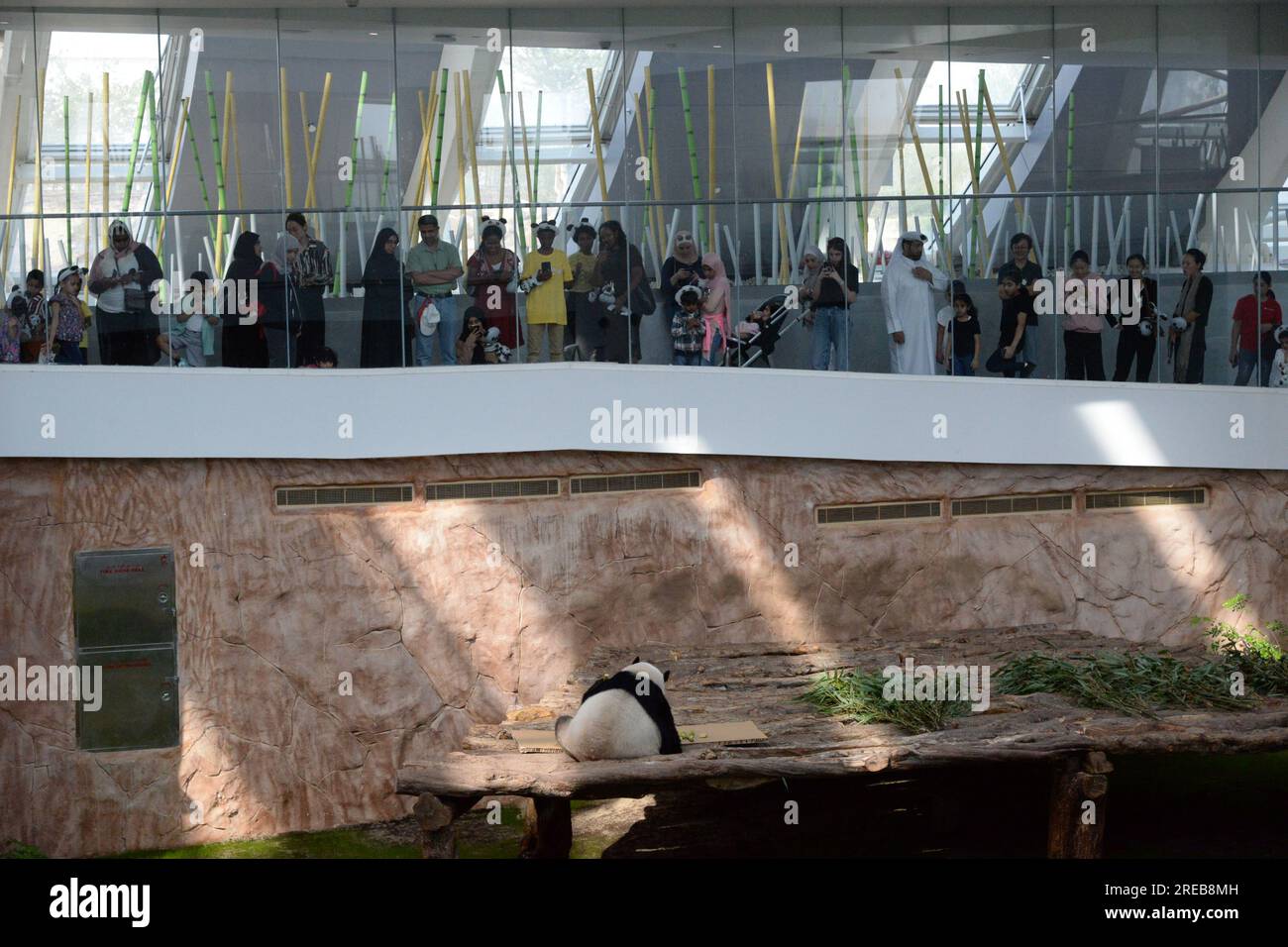 Doha, Qatar. 26th July, 2023. People visit giant panda Si Hai at Qatar ...