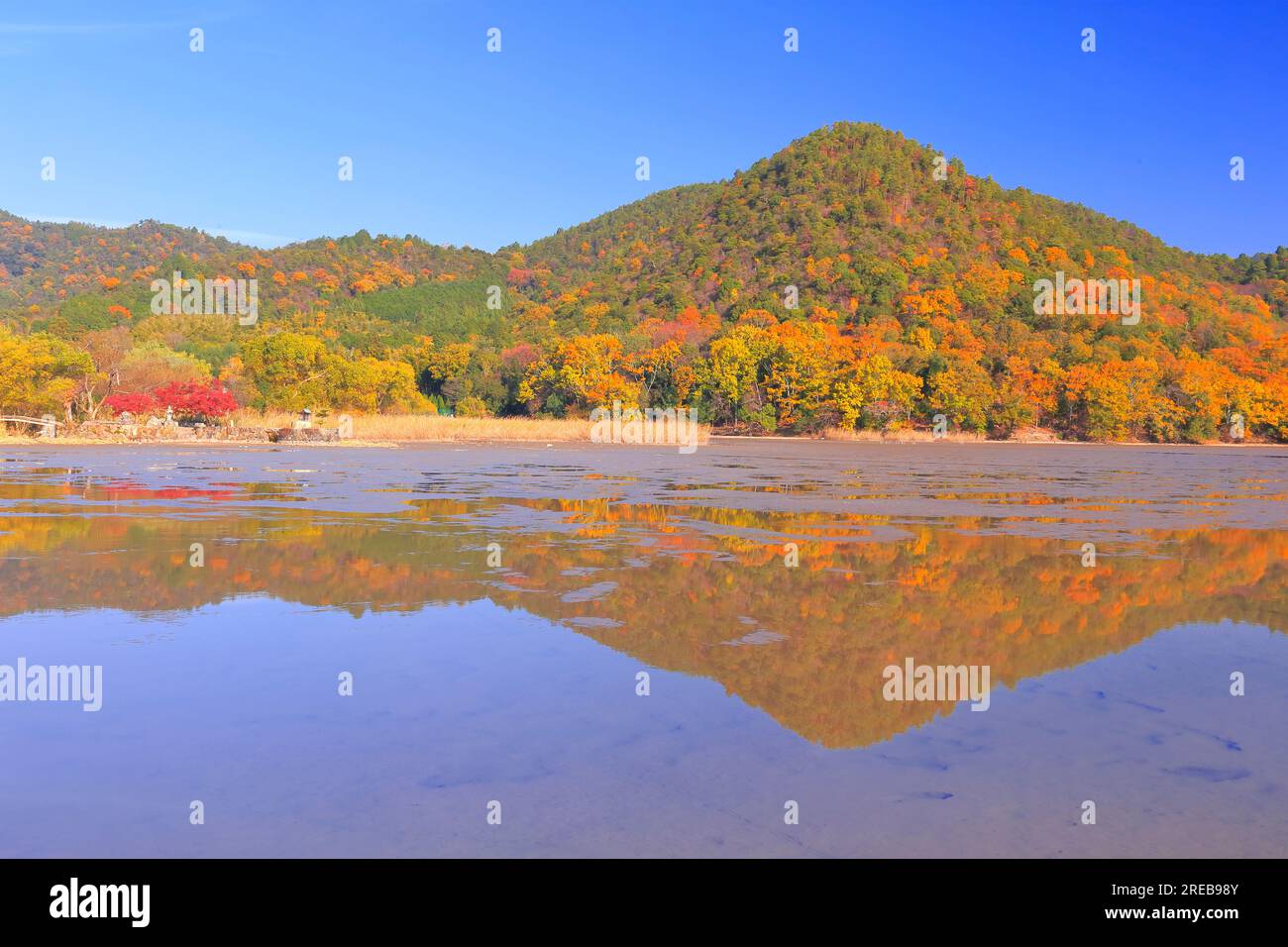 Saga fuji hi-res stock photography and images - Alamy