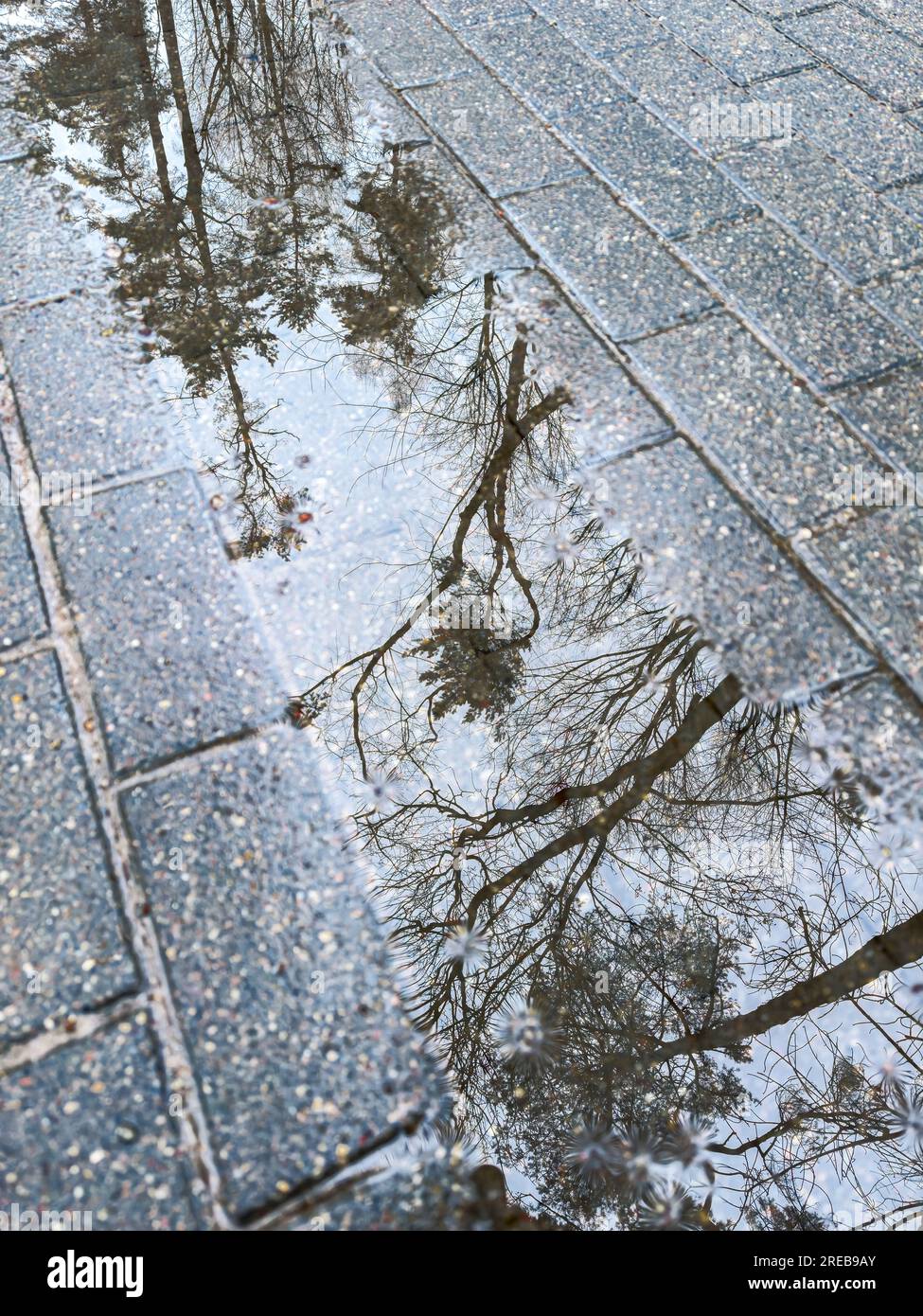 Rain Puddle On Sidewalk