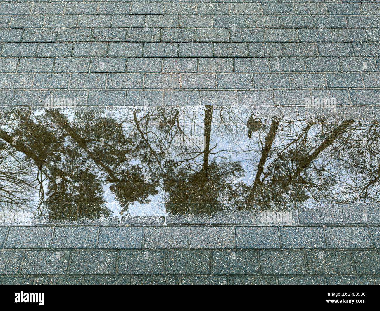 Reflection on puddle in walkway hi-res stock photography and images - Alamy