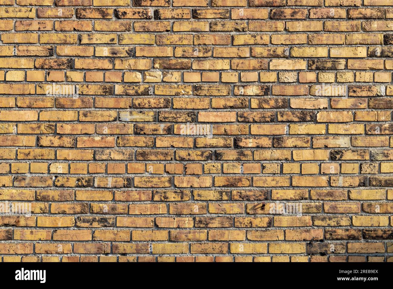 Full frame texture background of a shabby chic old mottled yellow and ...