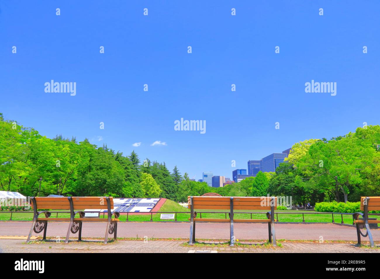 Fresh green and buildings in Marunouchi Stock Photo - Alamy