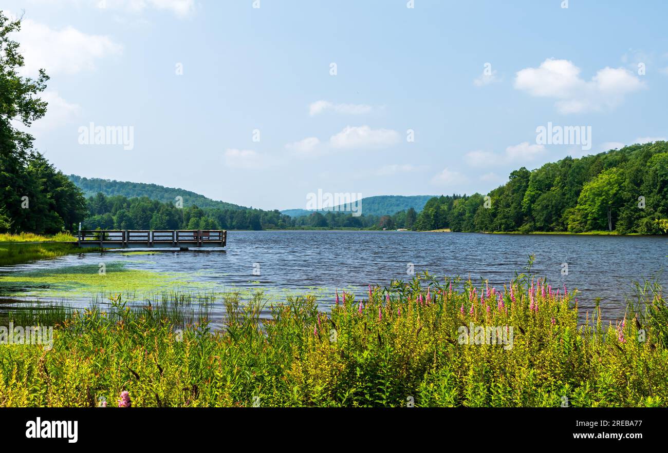 A walking pier jutting into the lake at Chapman State Park in Clarendon ...
