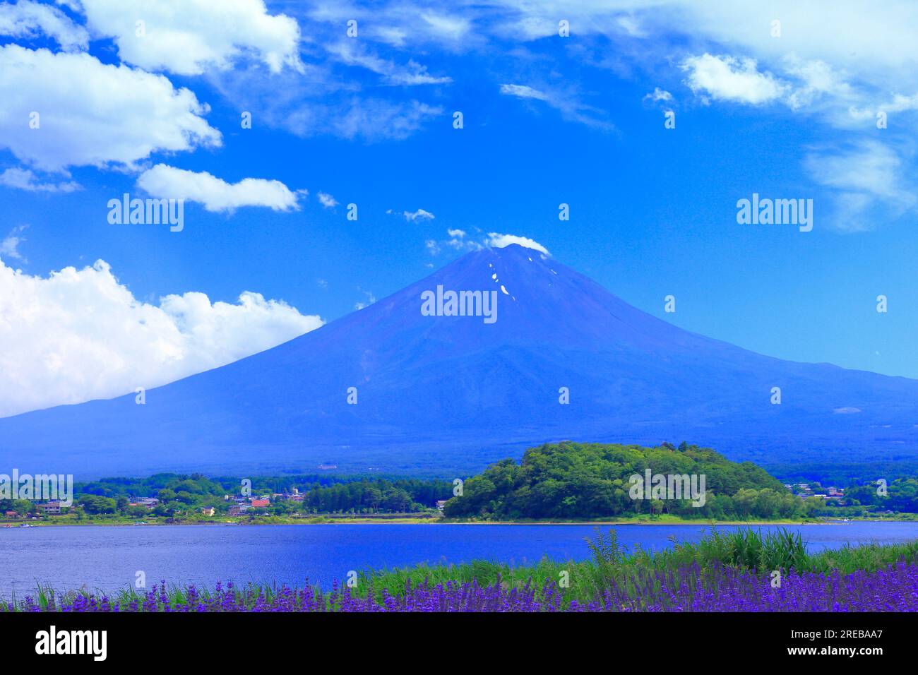Mt. Fuji in Summer Stock Photo - Alamy