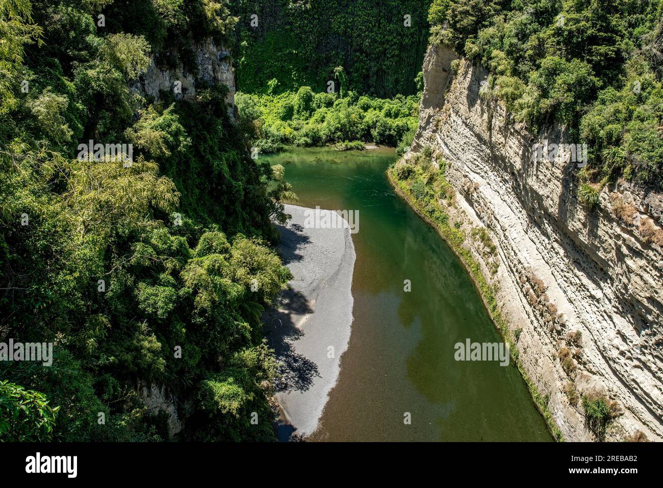 The turquoise water of the Rangitikei river flowing through the ...