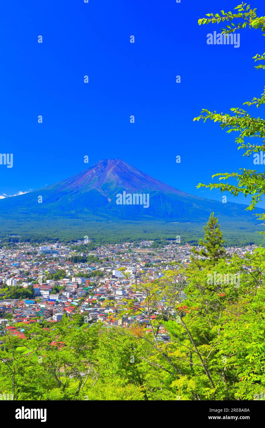 Mt. Fuji in Summer Stock Photo - Alamy