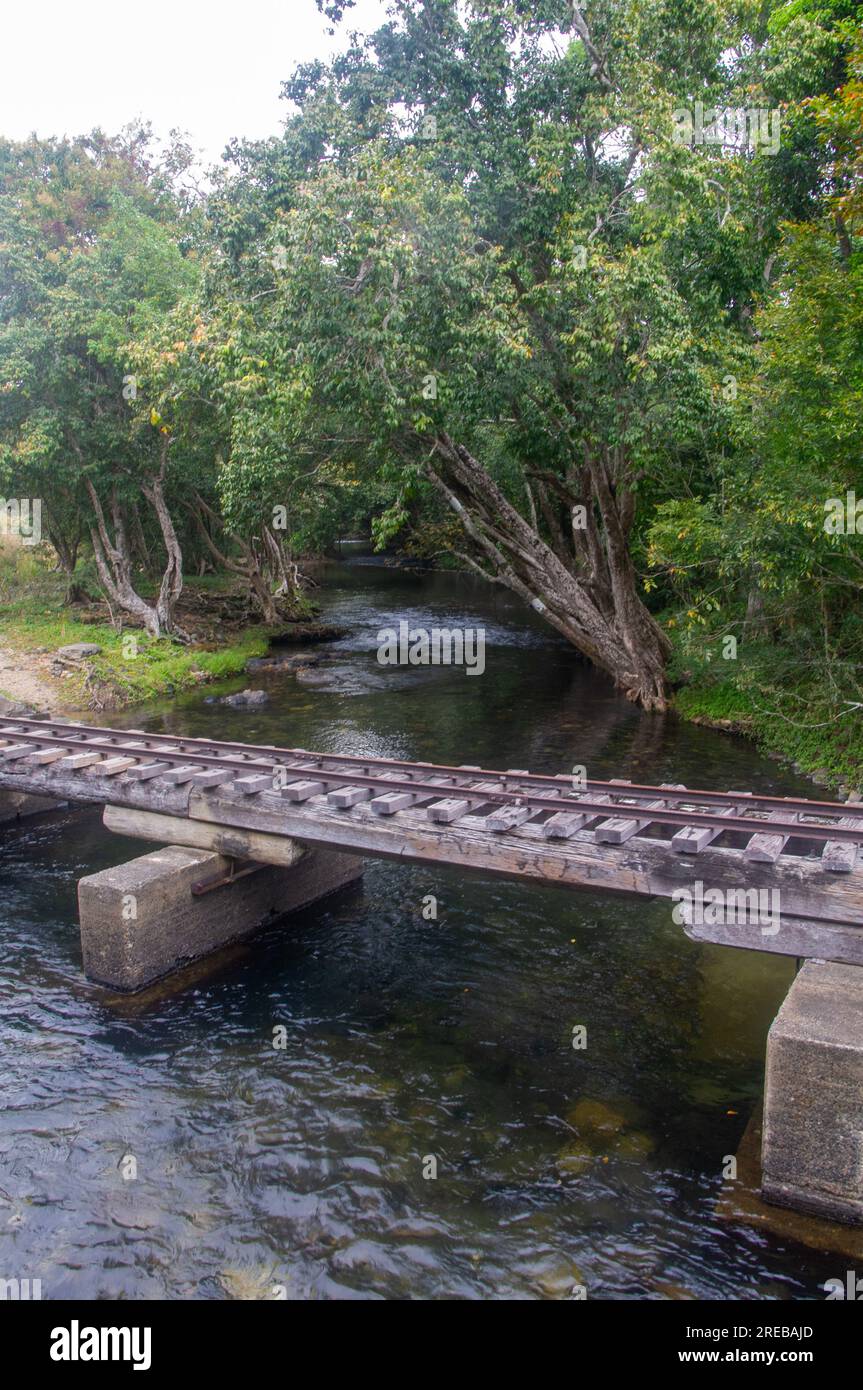 Little Mulgrave River, Peaceful Tree lined river scene, with railway ...