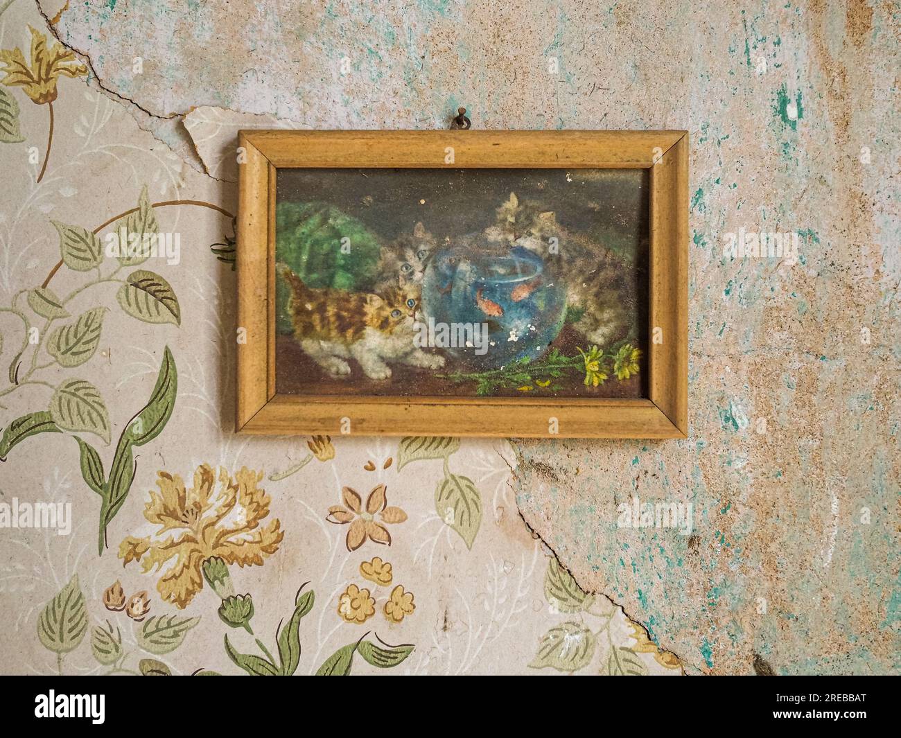 Vacant mansion hi-res stock photography and images - Alamy