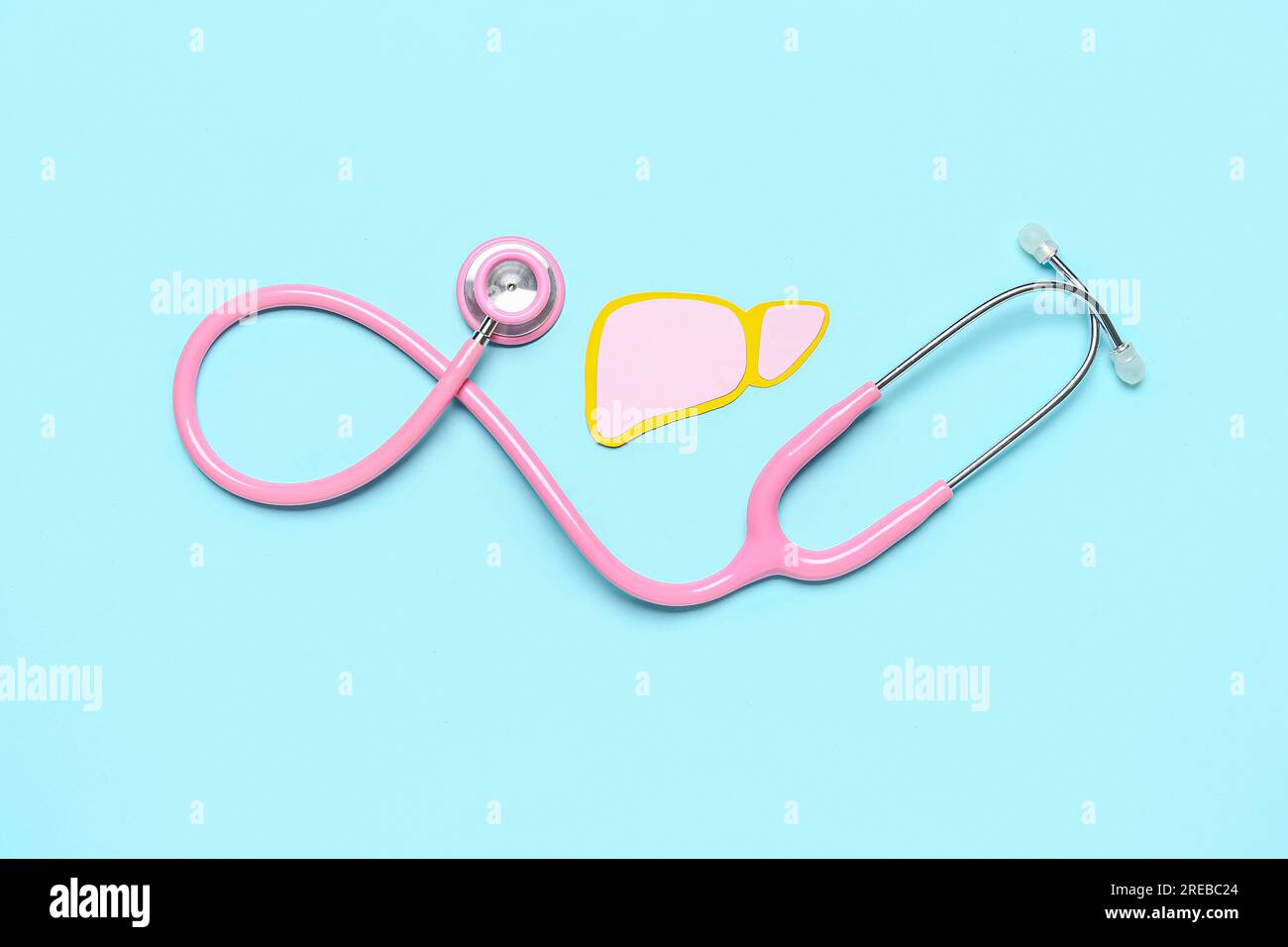 Pink paper liver with stethoscope on blue background Stock Photo - Alamy