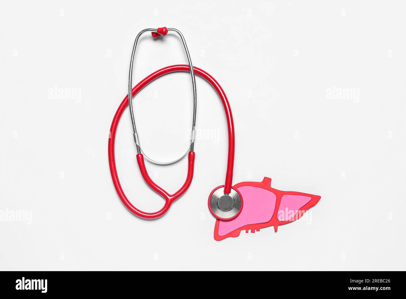 Pink paper liver with stethoscope on white background Stock Photo - Alamy