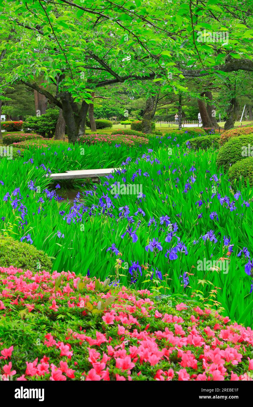 Spring kenrokuen gardens japan hi-res stock photography and images - Alamy