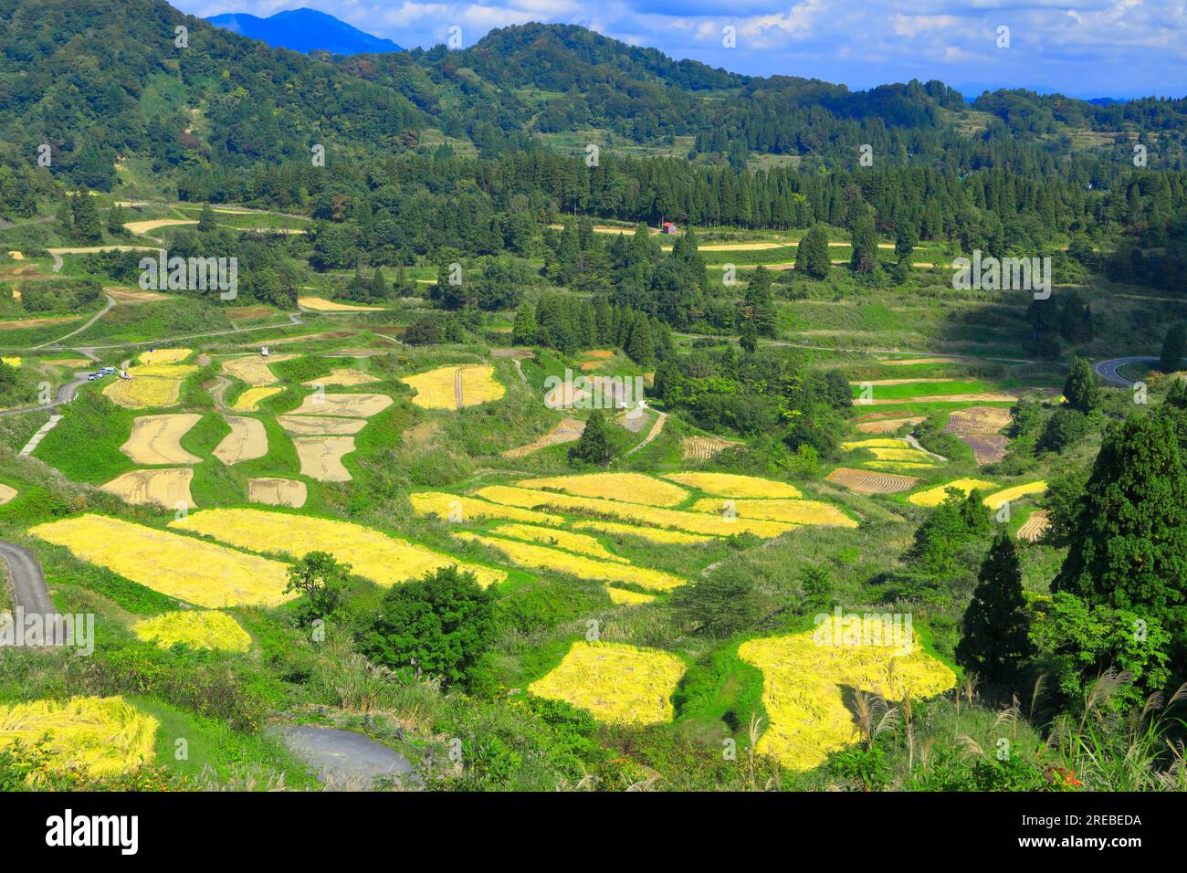 Rice terraces of Hoshitoge Stock Photo - Alamy