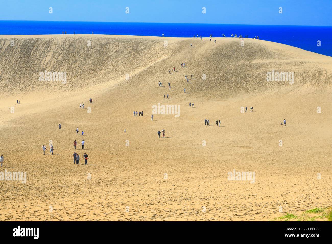 Tottori Sand Dunes Stock Photo - Alamy
