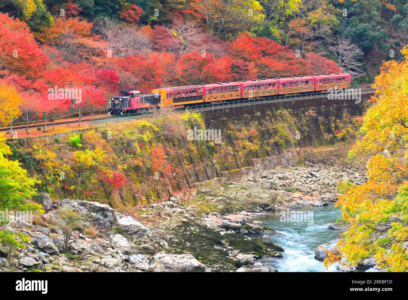Trolley train in autumn leaves Stock Photo - Alamy
