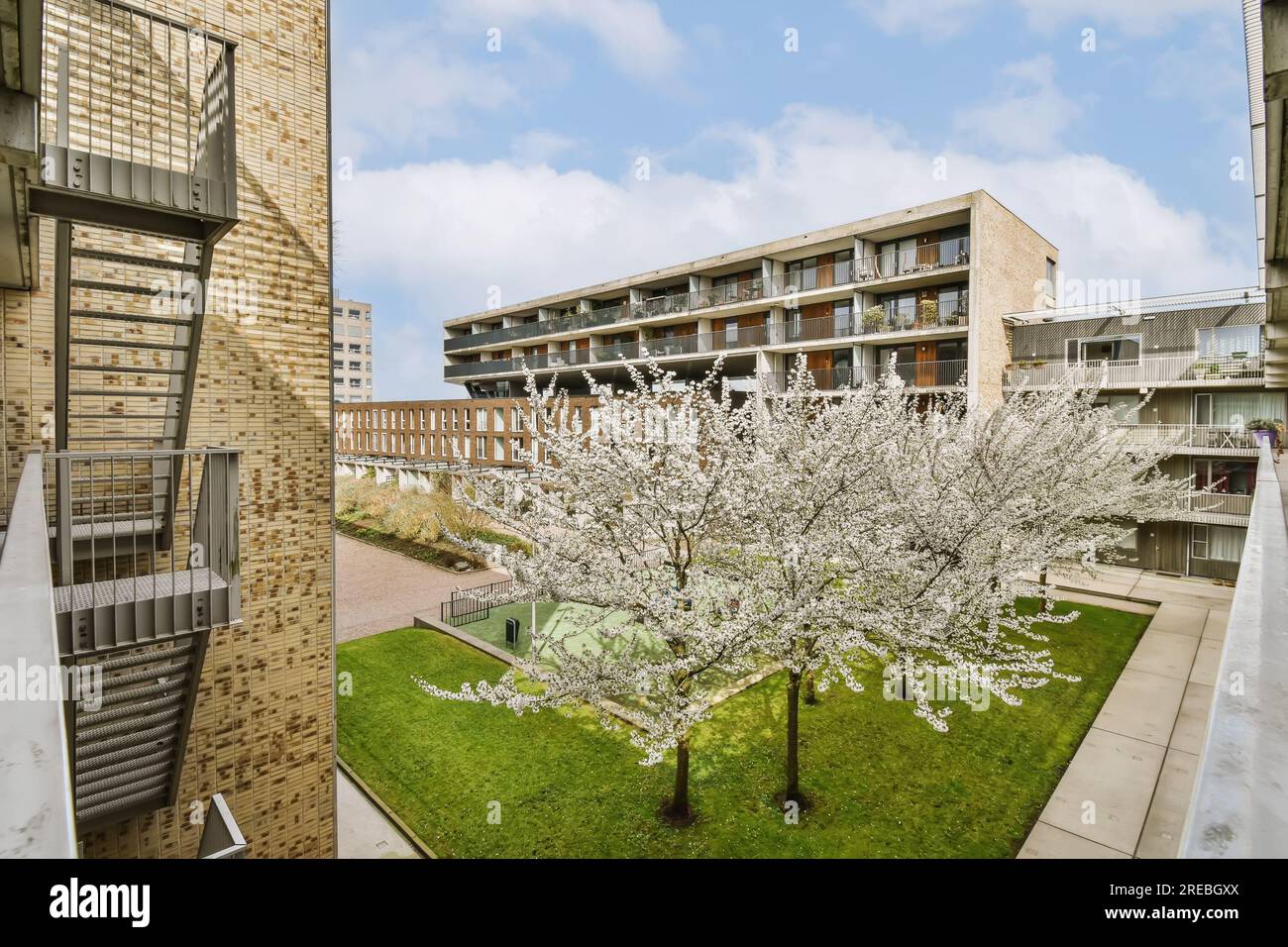 a tree in front of an apartment building with stairs leading up to the ...
