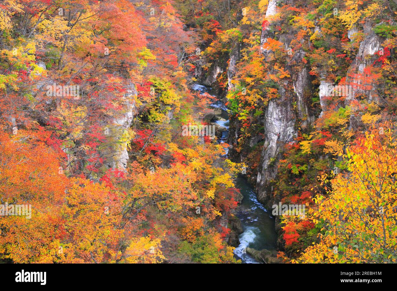 V autumn hi-res stock photography and images - Alamy